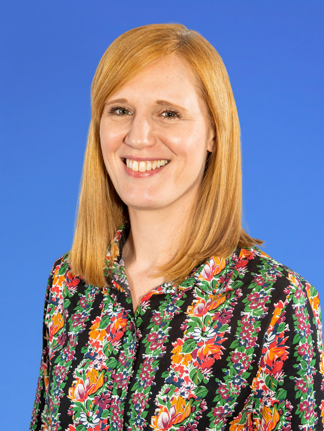 Councillors and committees - Lisburn & Castlereagh